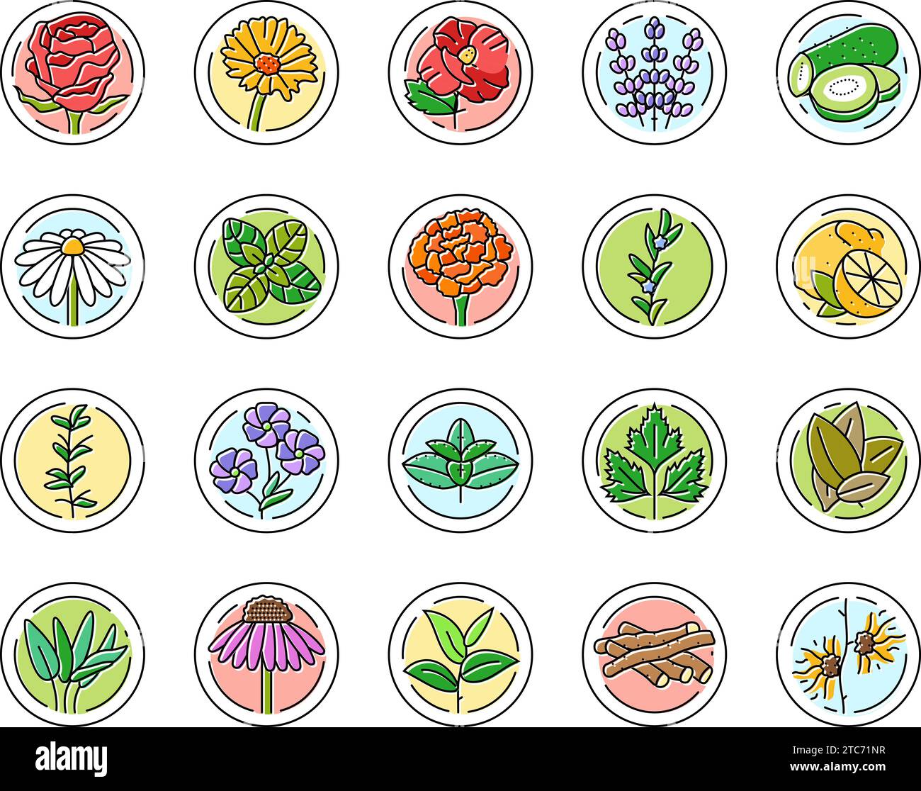 plant natural cosmetic green icons set vector Stock Vector Image & Art ...