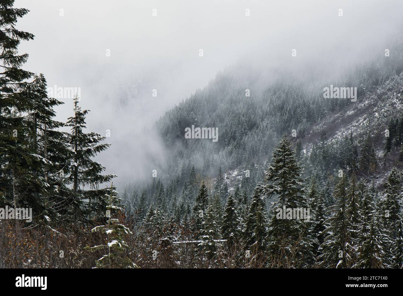 Cascade mountain range hi-res stock photography and images - Alamy