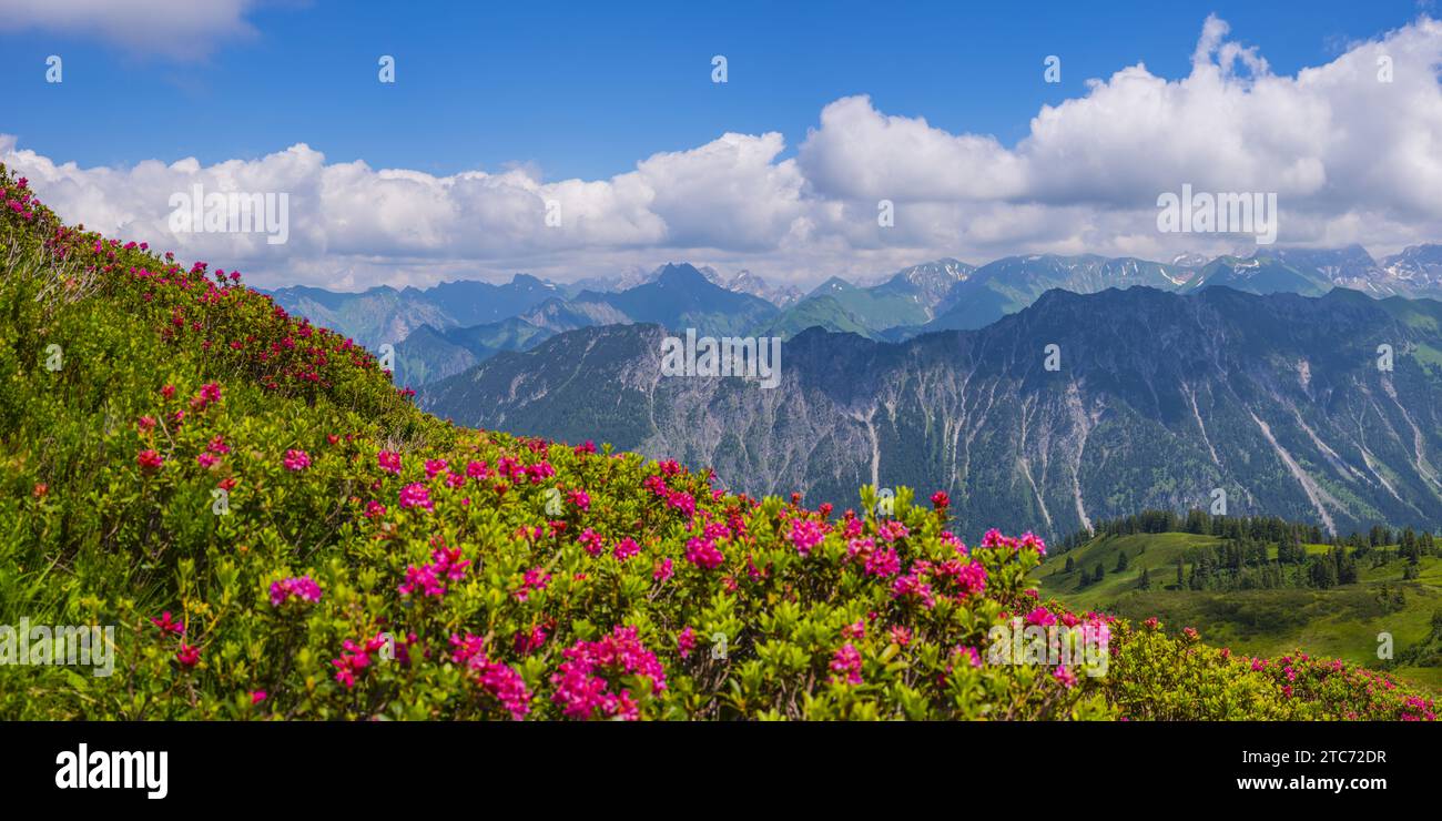 3334cf3z hi-res stock photography and images - Alamy