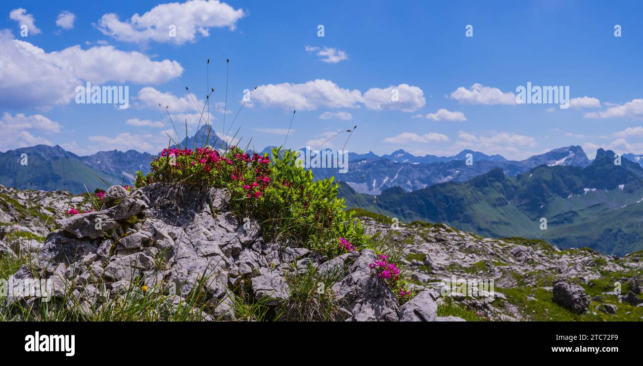 3334cfbl hi-res stock photography and images - Alamy