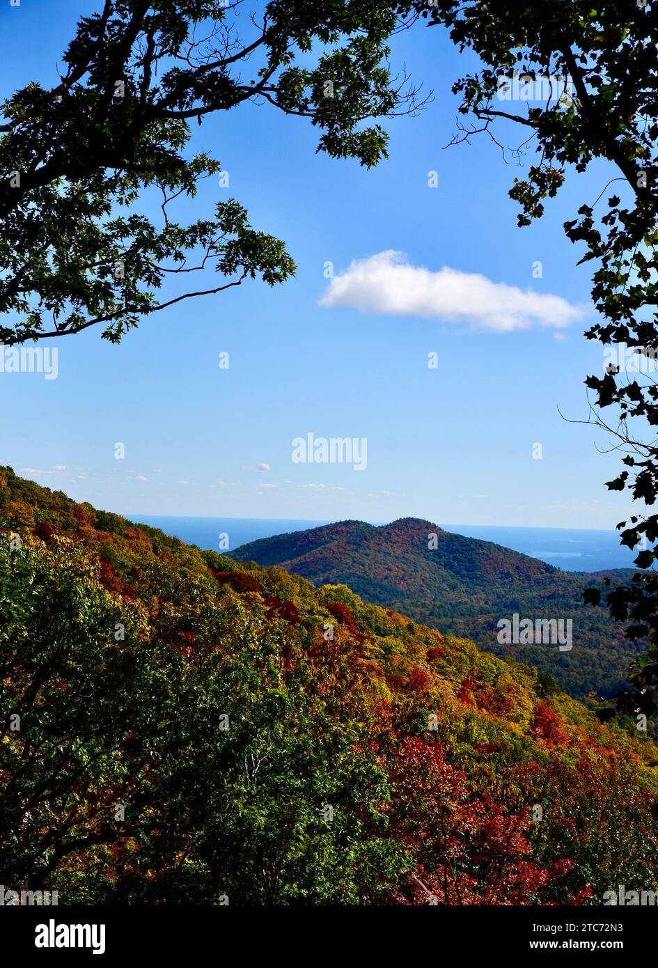 A vibrant landscape of a hillside in Western North Carolina with a ...