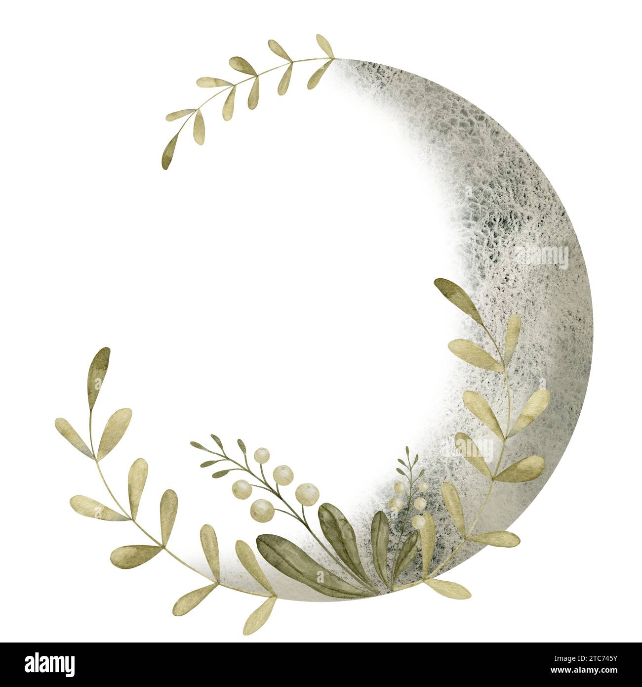 Botanical Moon on isolated background. Watercolor illustration of Luna ...