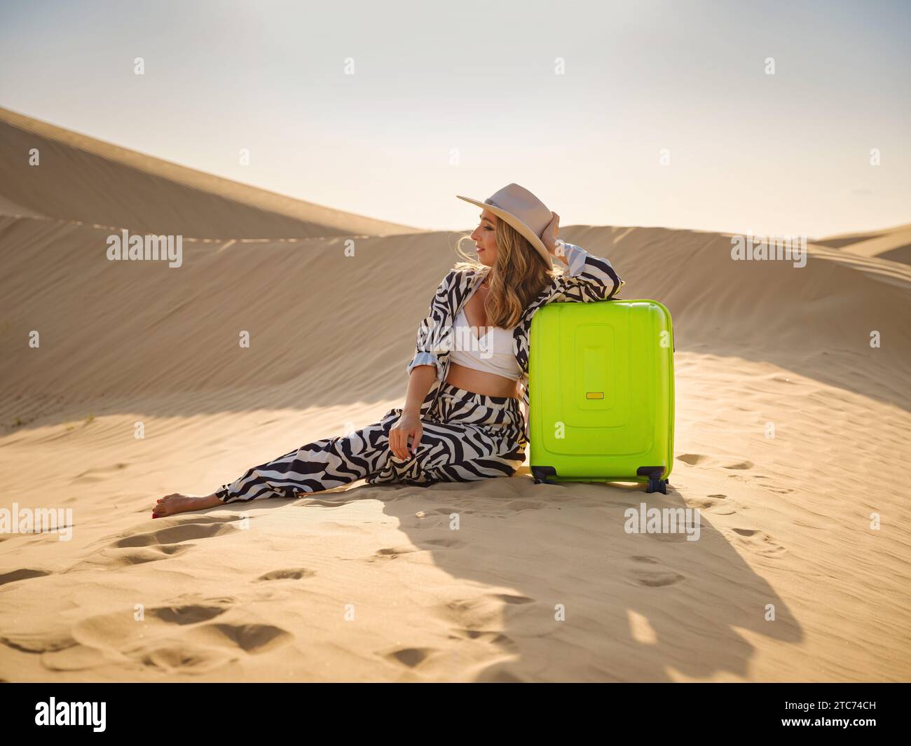 Persian zebra hi-res stock photography and images - Alamy