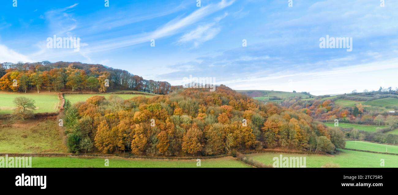 Beautiful autumn colours beneath a blue sky, Knucklas Powys Wales UK ...