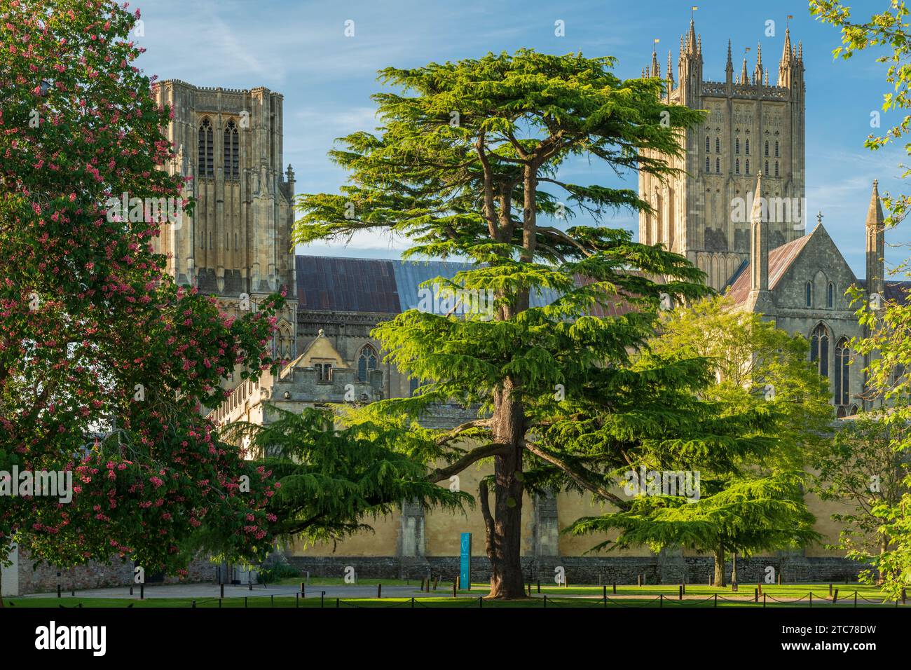Wells Cathedral on a beautiful spring evening, Wells, Somerset, England ...
