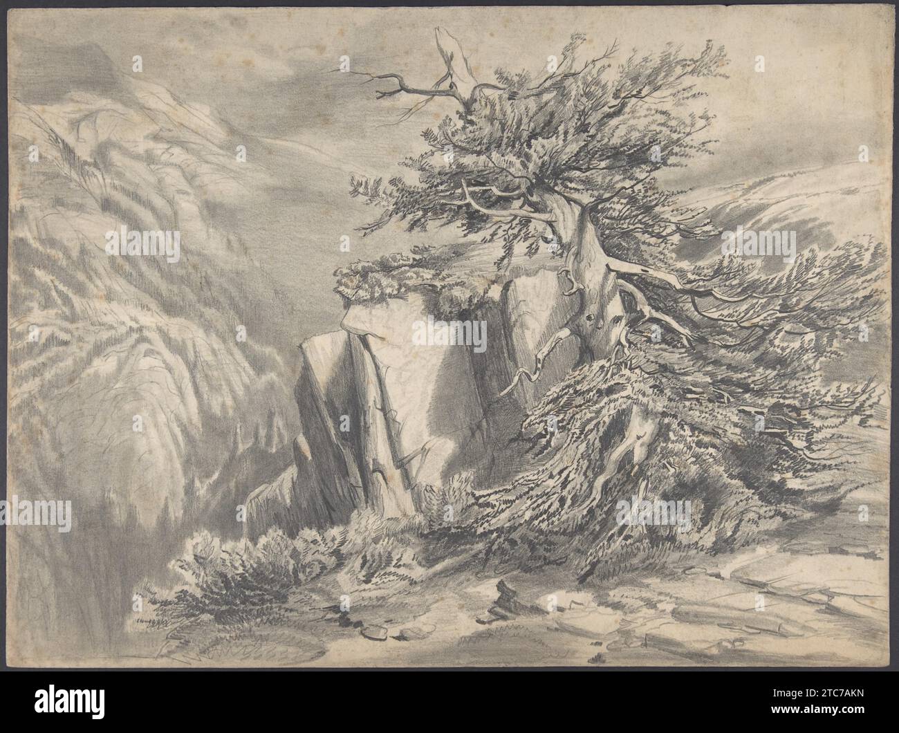 Broken Tree in Moutainous Landscape 1953 by Alexandre Calame Stock ...