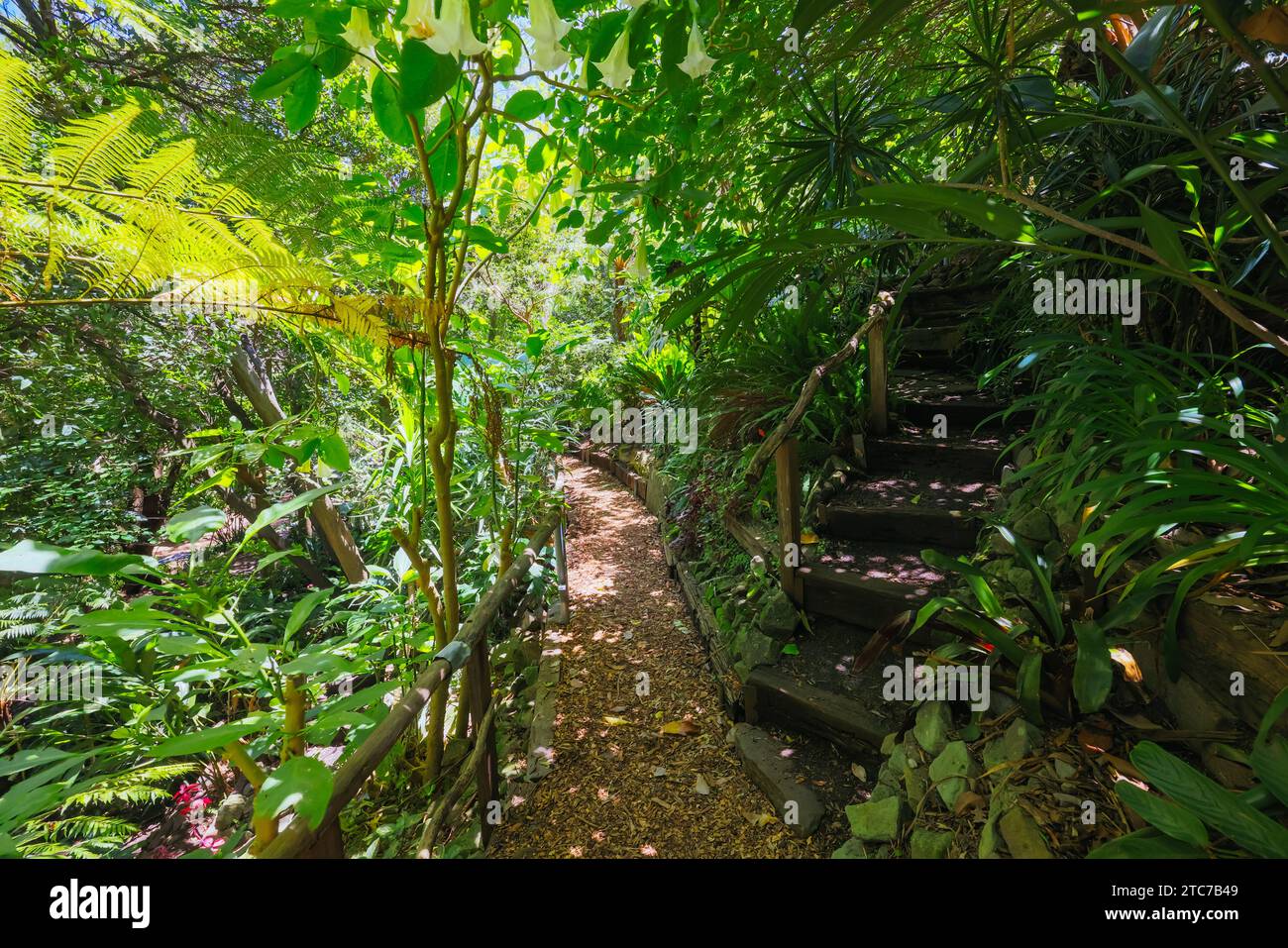 Wendy Whiteley's Secret Garden in Australia Stock Photo - Alamy
