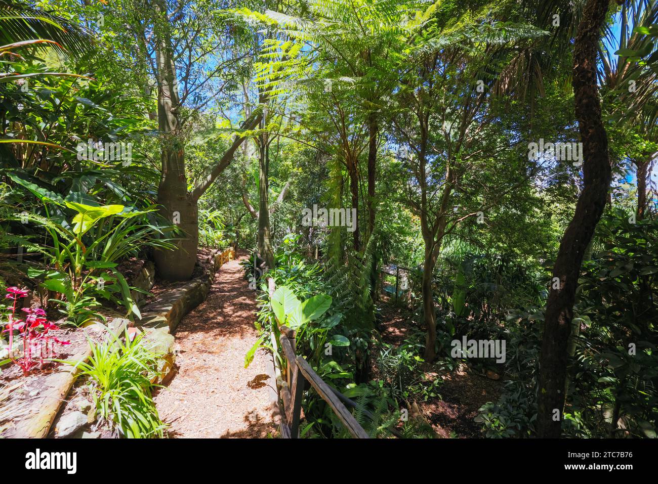 Wendy whiteleys secret garden hi-res stock photography and images - Alamy