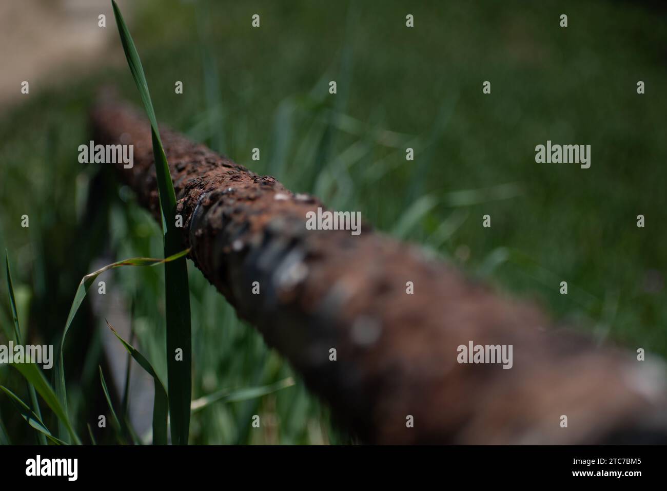 Pure nature hi-res stock photography and images - Alamy