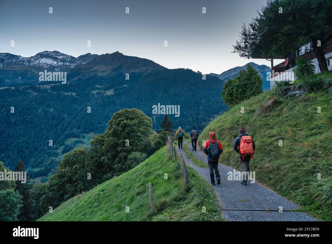 Group of backpacker hiking on trail in Swiss Alps valley on summit ...