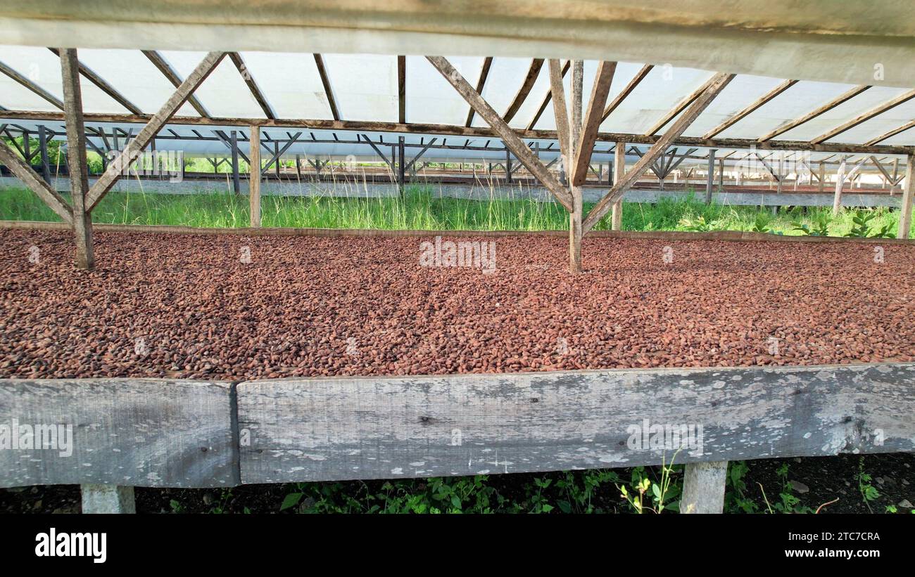 Image of a cocoa dryer at Sao Tome e Principe,Africa Stock Photo - Alamy
