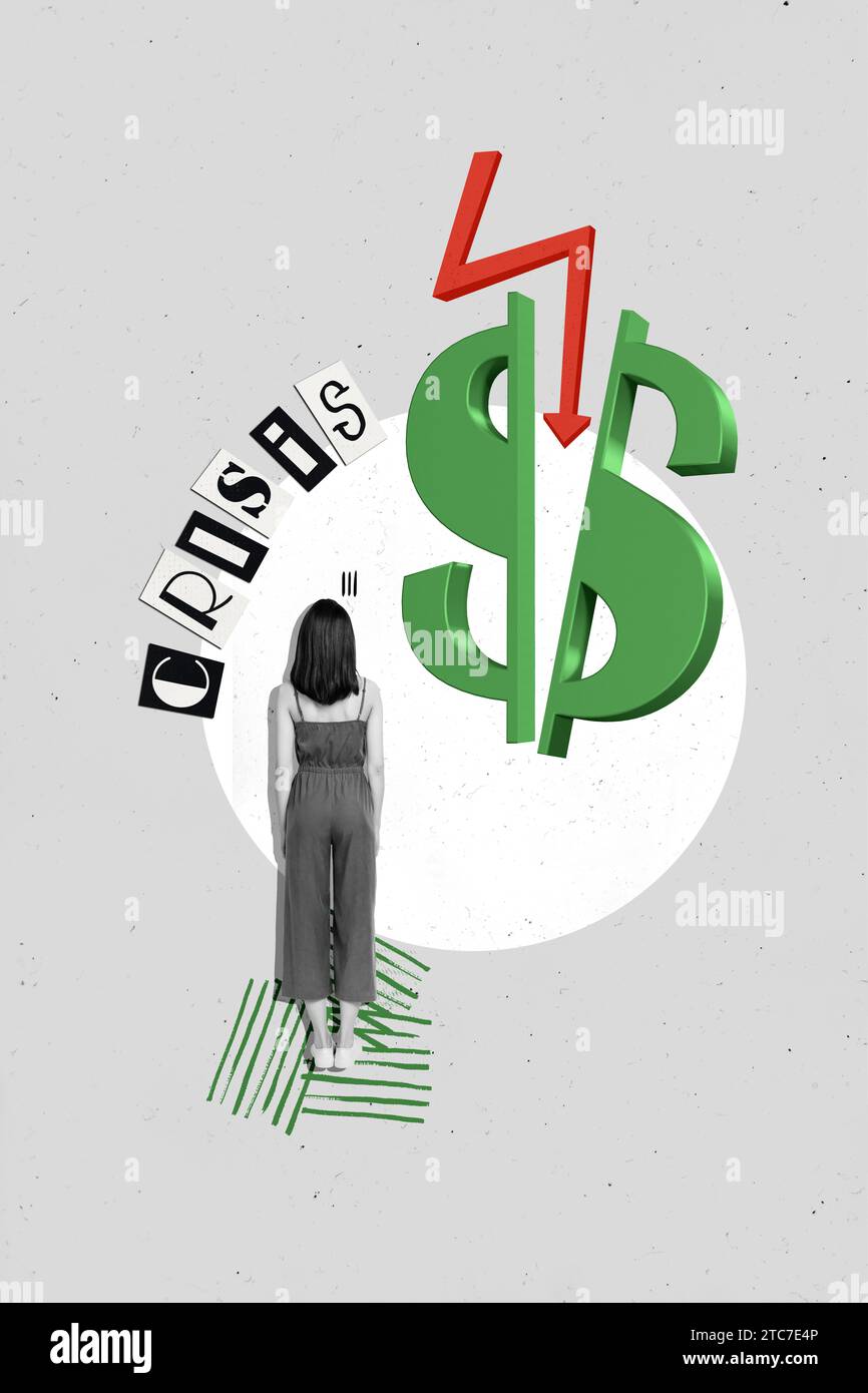 Creative vertical collage image standing confused young woman black white dollar arrow decrease ...