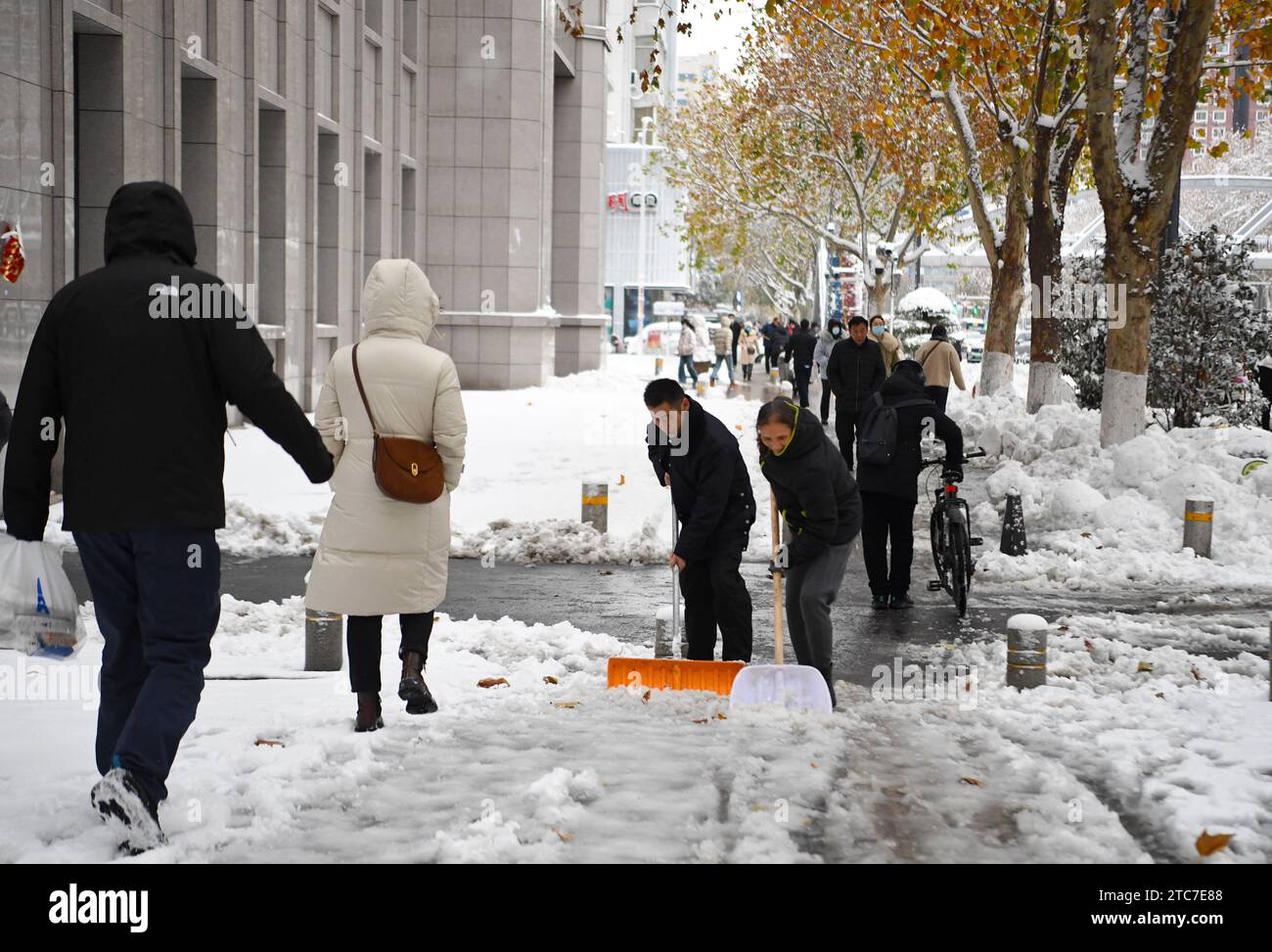 Zhengzhou, China's Henan Province. 11th Dec, 2023. People shovel snow ...