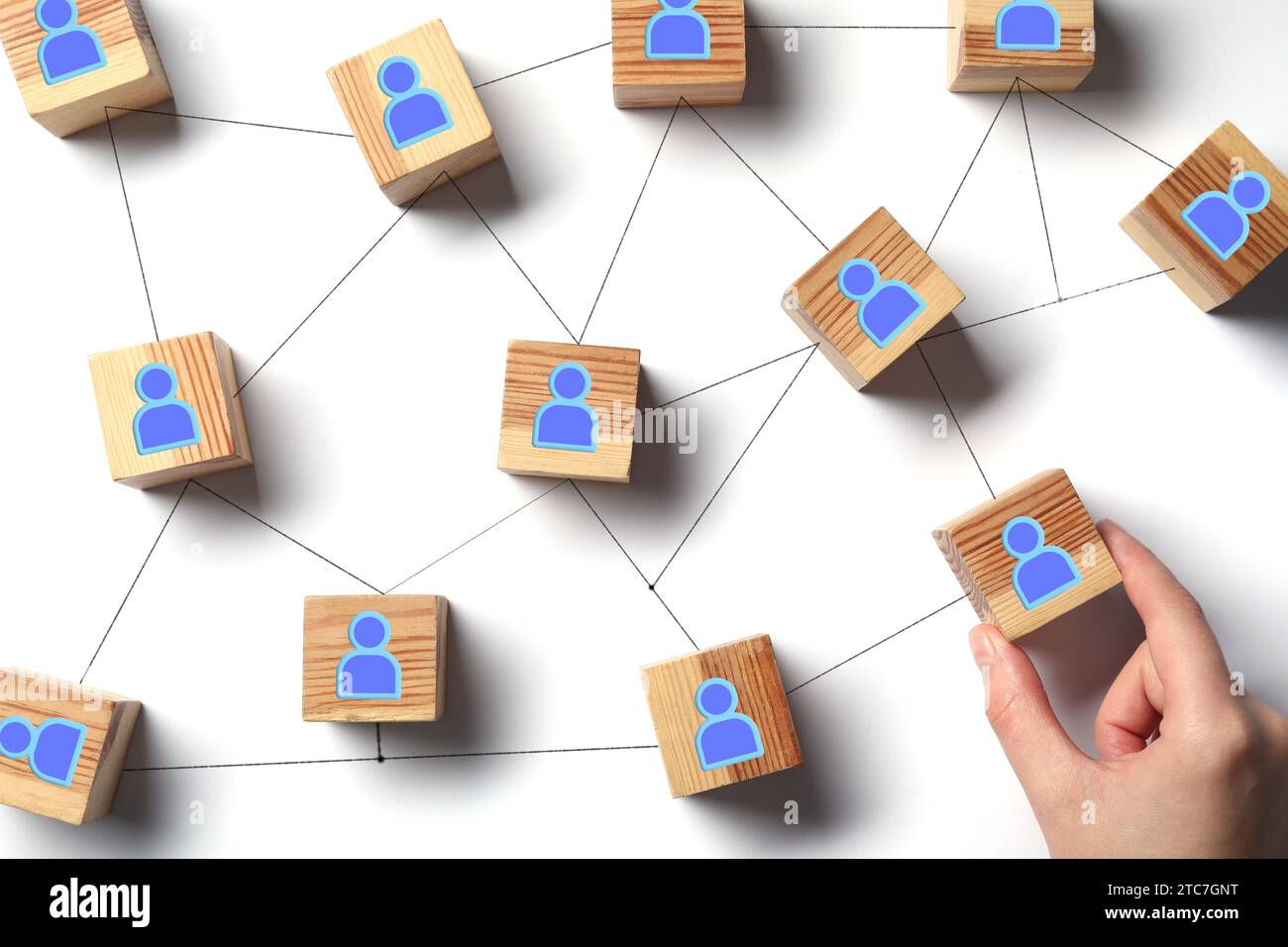 Teamwork. Woman arranging wooden cubes with human icons linked together ...