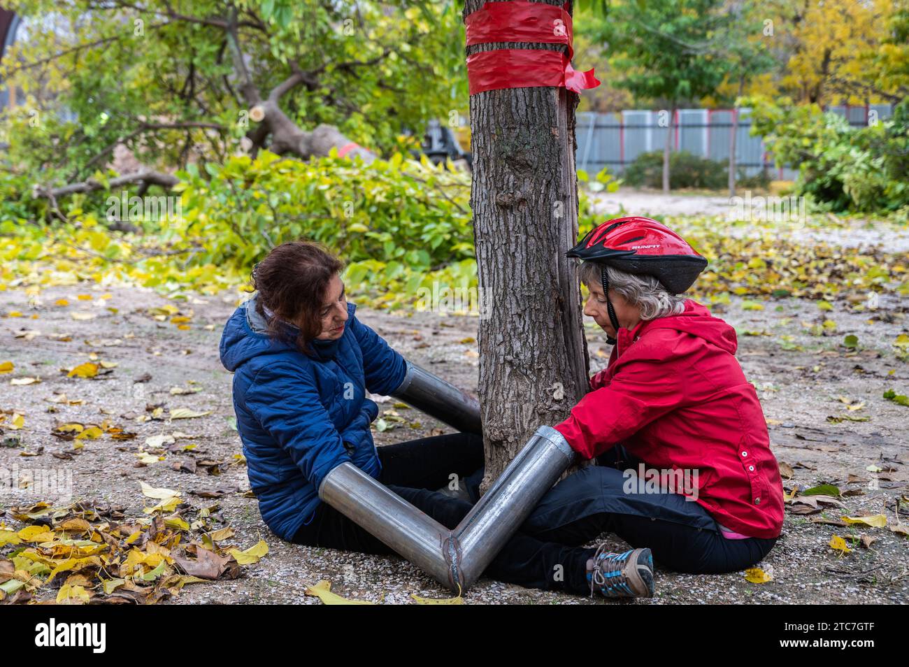 Climate activists chained with metal tubes to a tree protest against ...