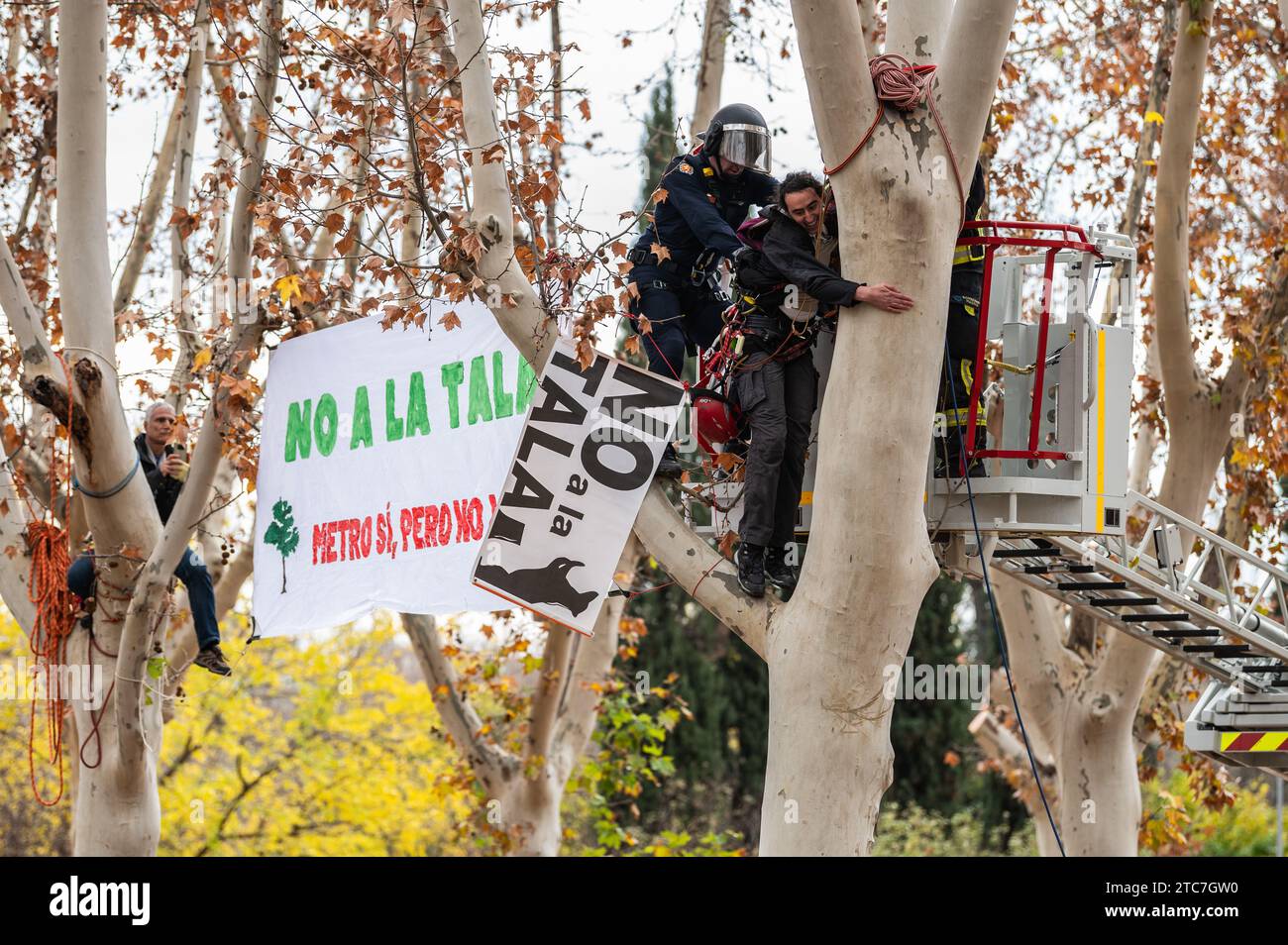 A climate activist is removed from a tree by a National Police officer ...