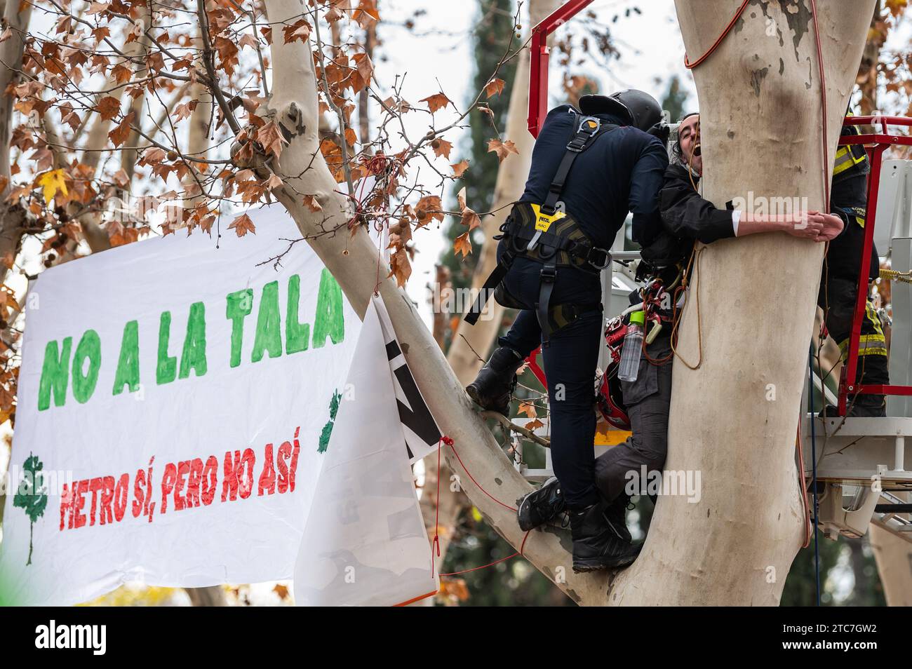 A climate activist is removed from a tree by a National Police officer ...
