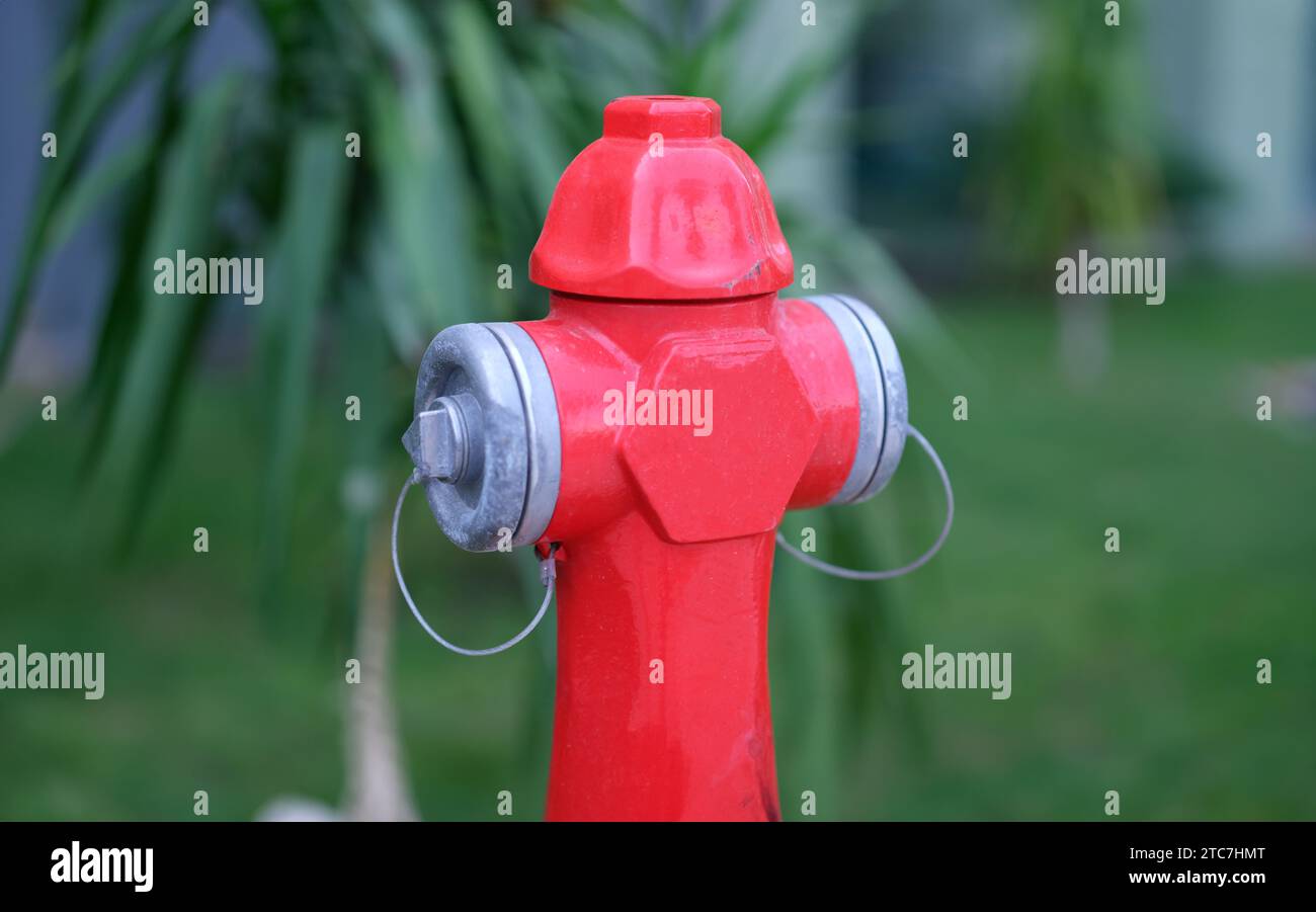 Flush hydrant hi-res stock photography and images - Alamy