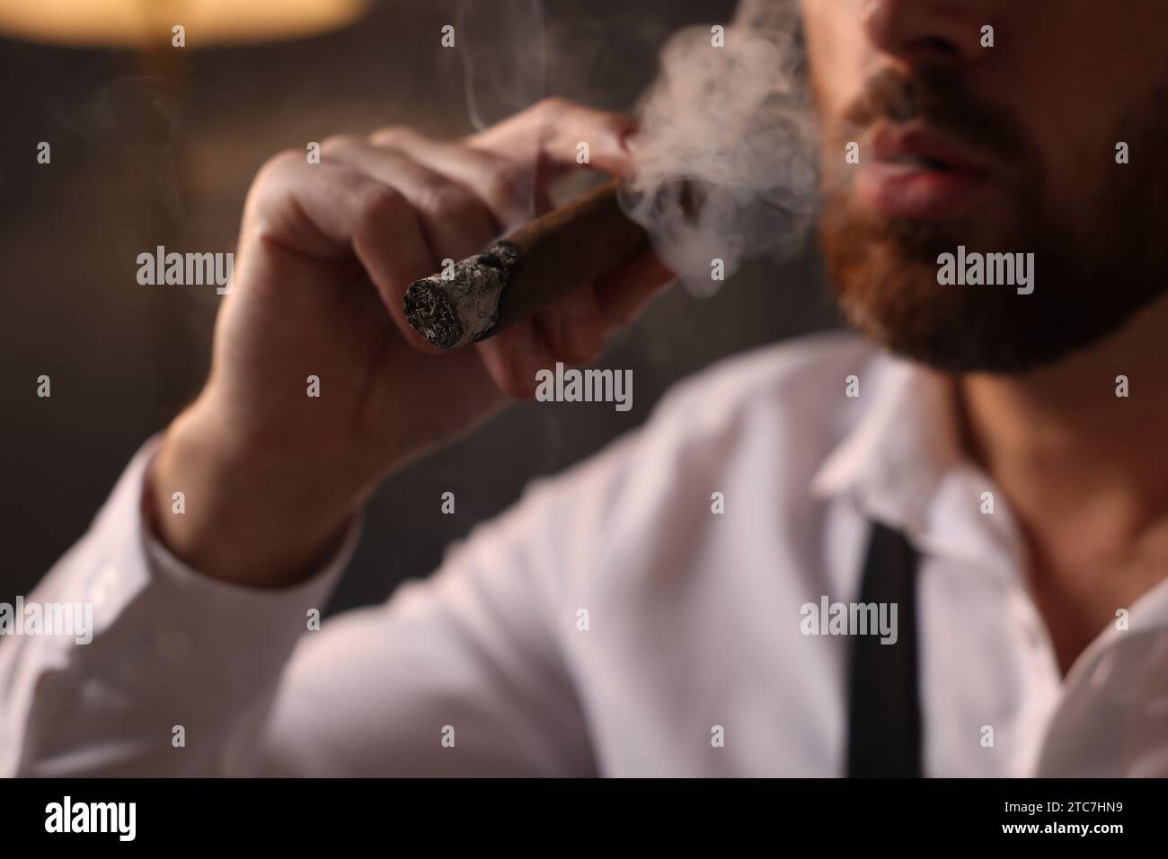 Cigar smoking room hi-res stock photography and images - Alamy