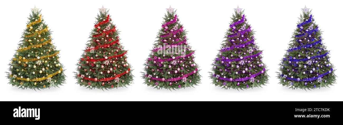 Christmas trees decorated in different colors isolated on white ...