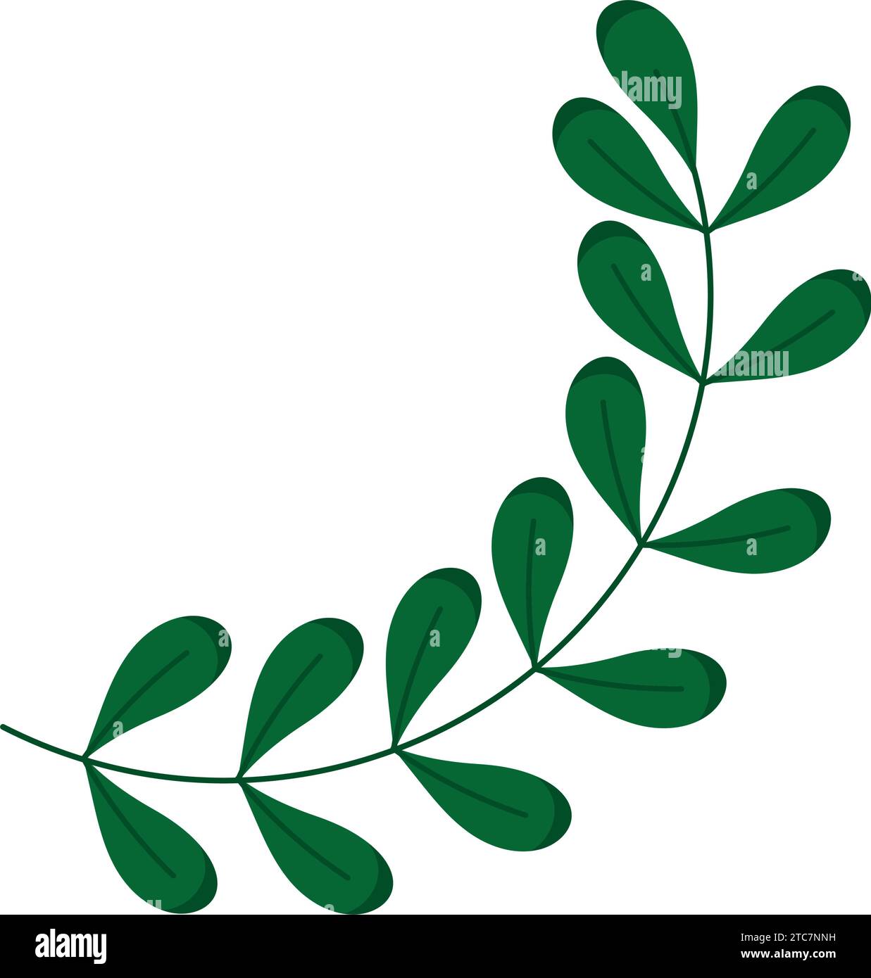 olive branch design Stock Vector Image & Art - Alamy