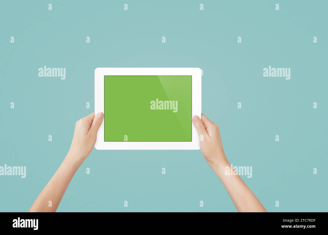 Female hands holding tablet with blank screen isolated Stock Photo - Alamy