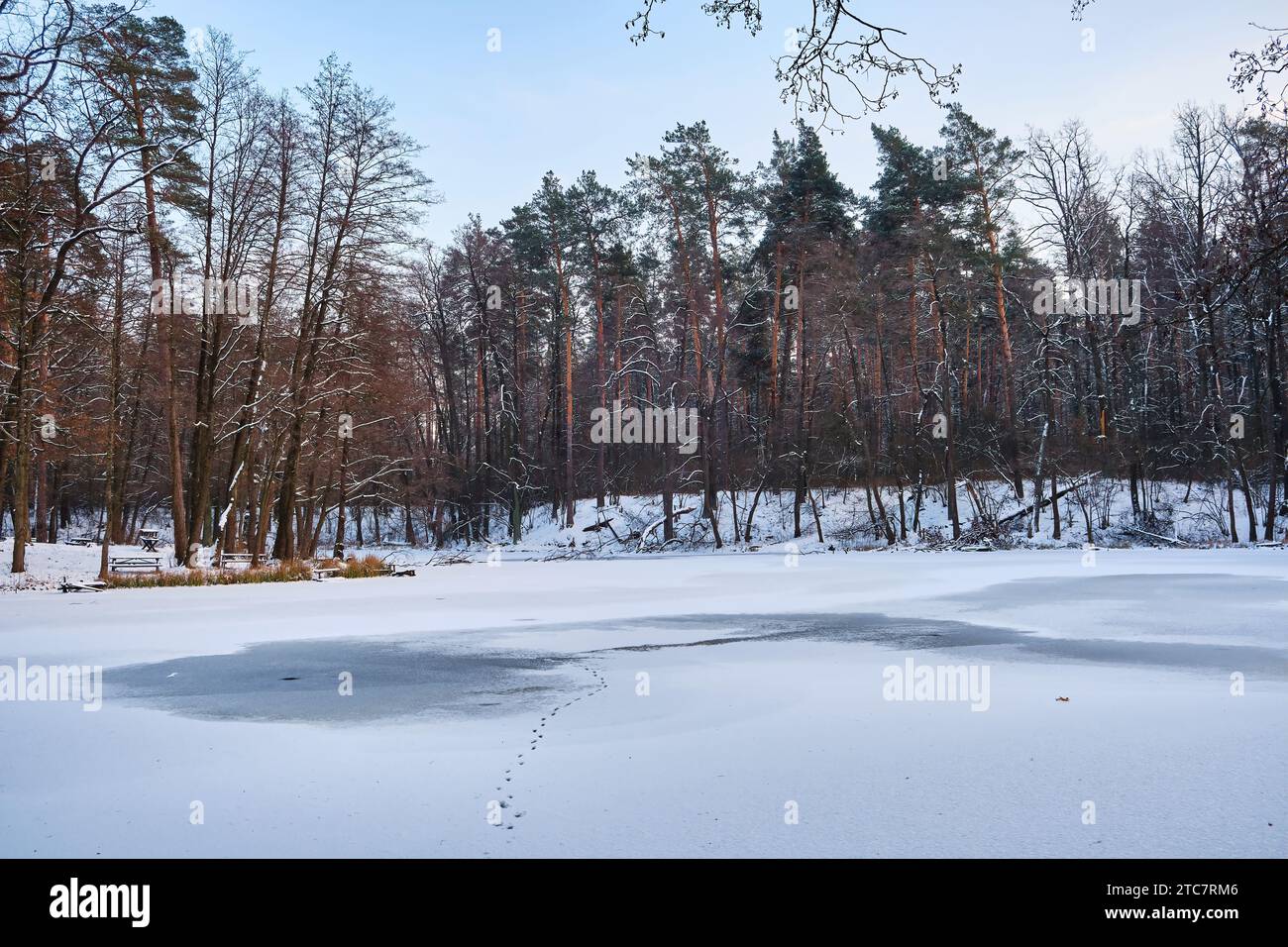 An enchanting winter scene: a pristine, frozen lake nestled deep within ...