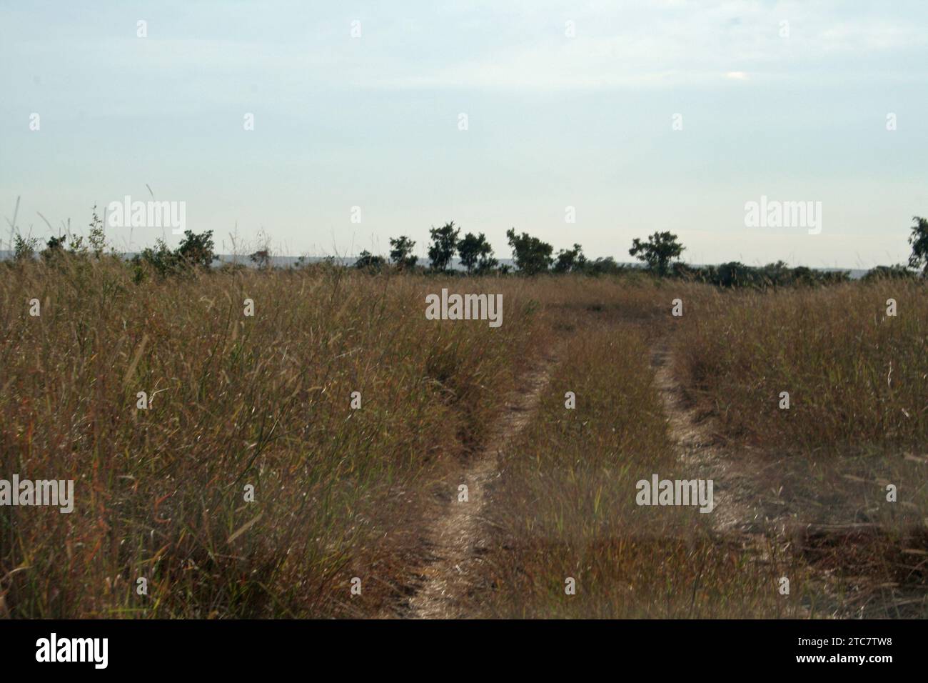 Mananga Adventure Trail, Satara, Kruger National Park, South Africa ...