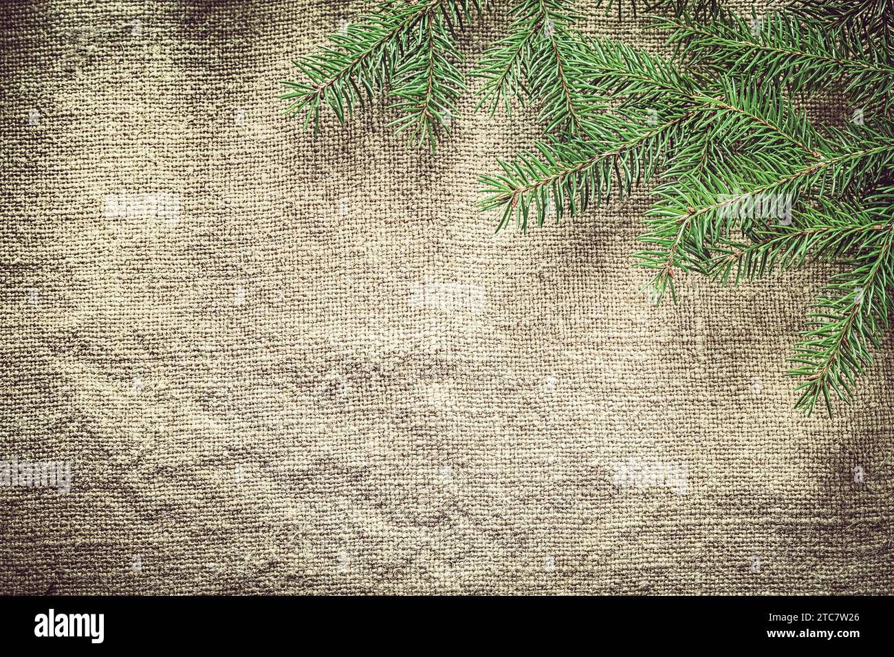 Green pine tree branches on bagging background Stock Photo - Alamy