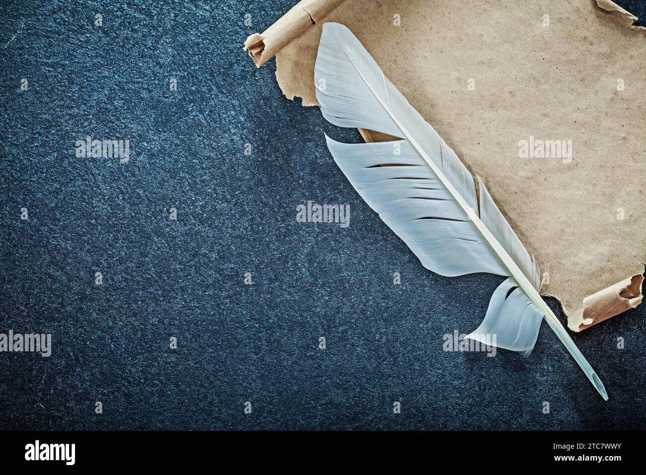 Vintage paper plume on black background Stock Photo - Alamy