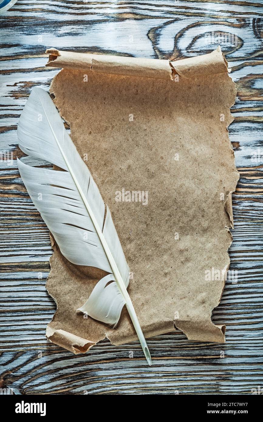 Parchment And Quill Parchment Paper Quill And Ink Pot With Space For