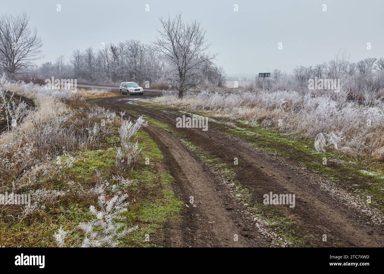 A mystical scene of early winter unveiling its magic through the mist ...