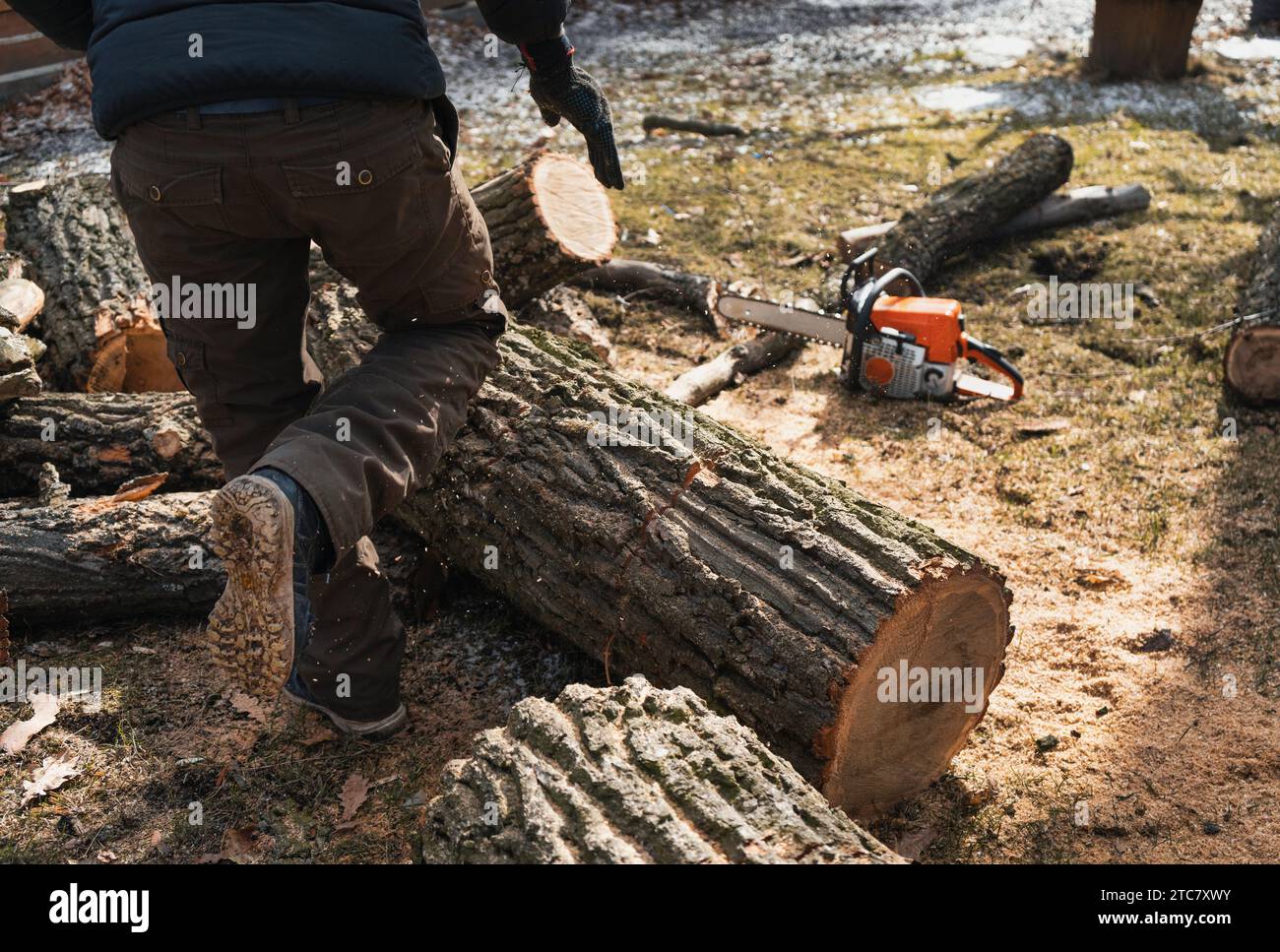 Chainsaw tree hi-res stock photography and images - Alamy