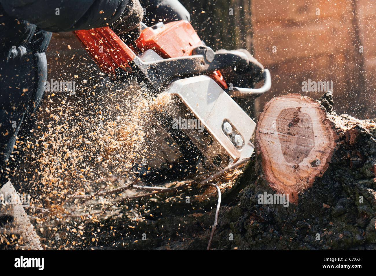 Chainsaw tree hi-res stock photography and images - Alamy