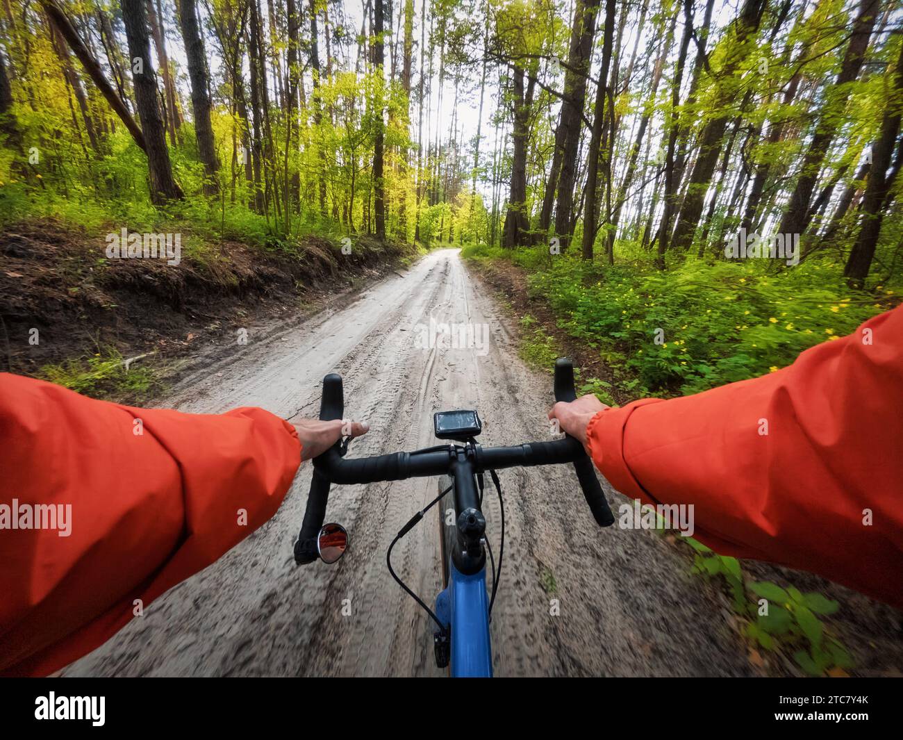 Cyclist on a gravel bike riding along a forest road with green trees ...