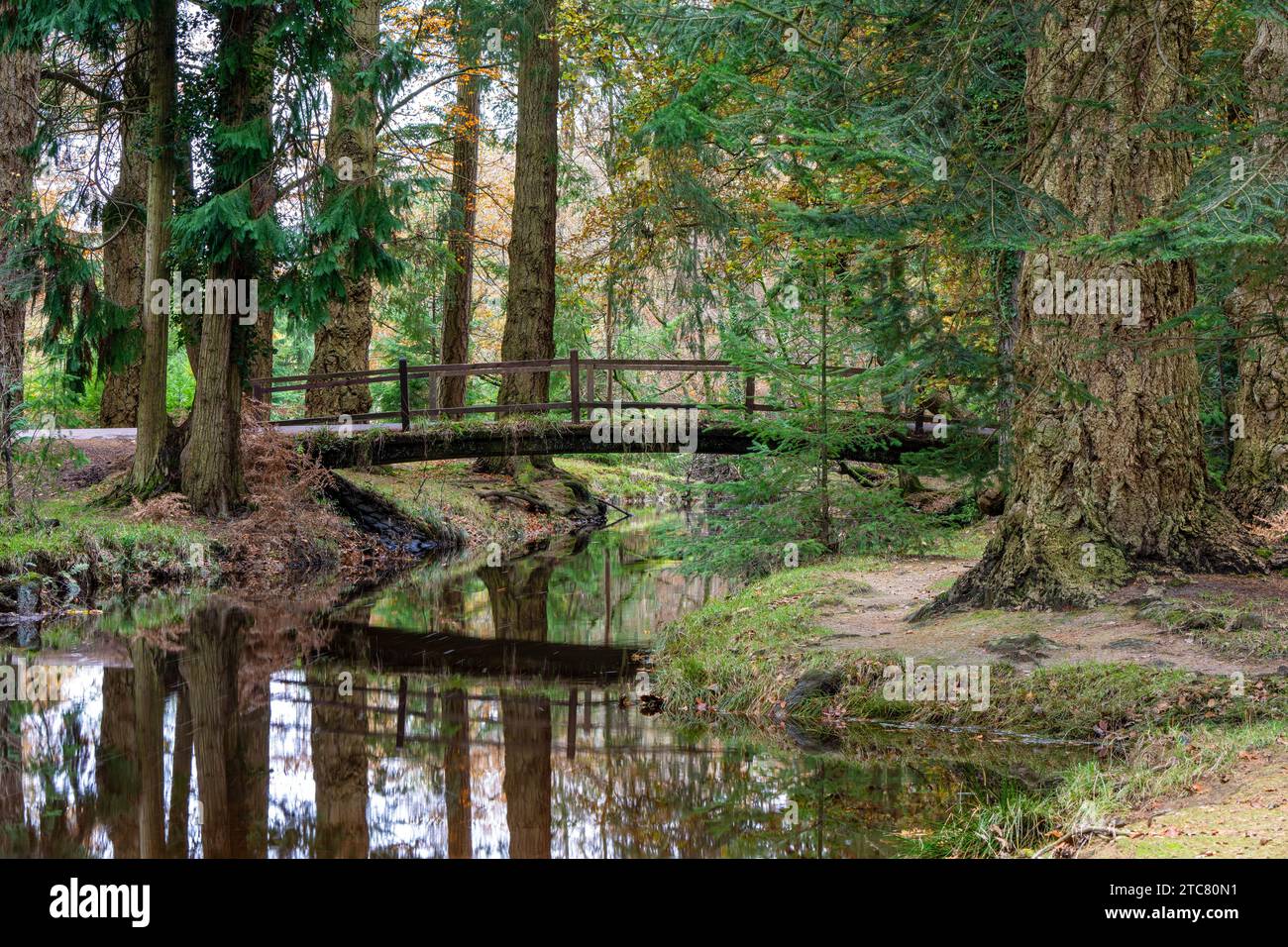 Rhinefield Bridge over Blackwater Stream, Ornamental Drive ...