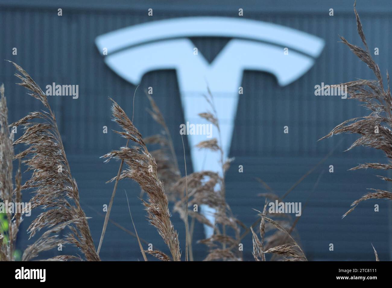 Tesla's logo in white on a grey wall to their Delivery Center outside ...