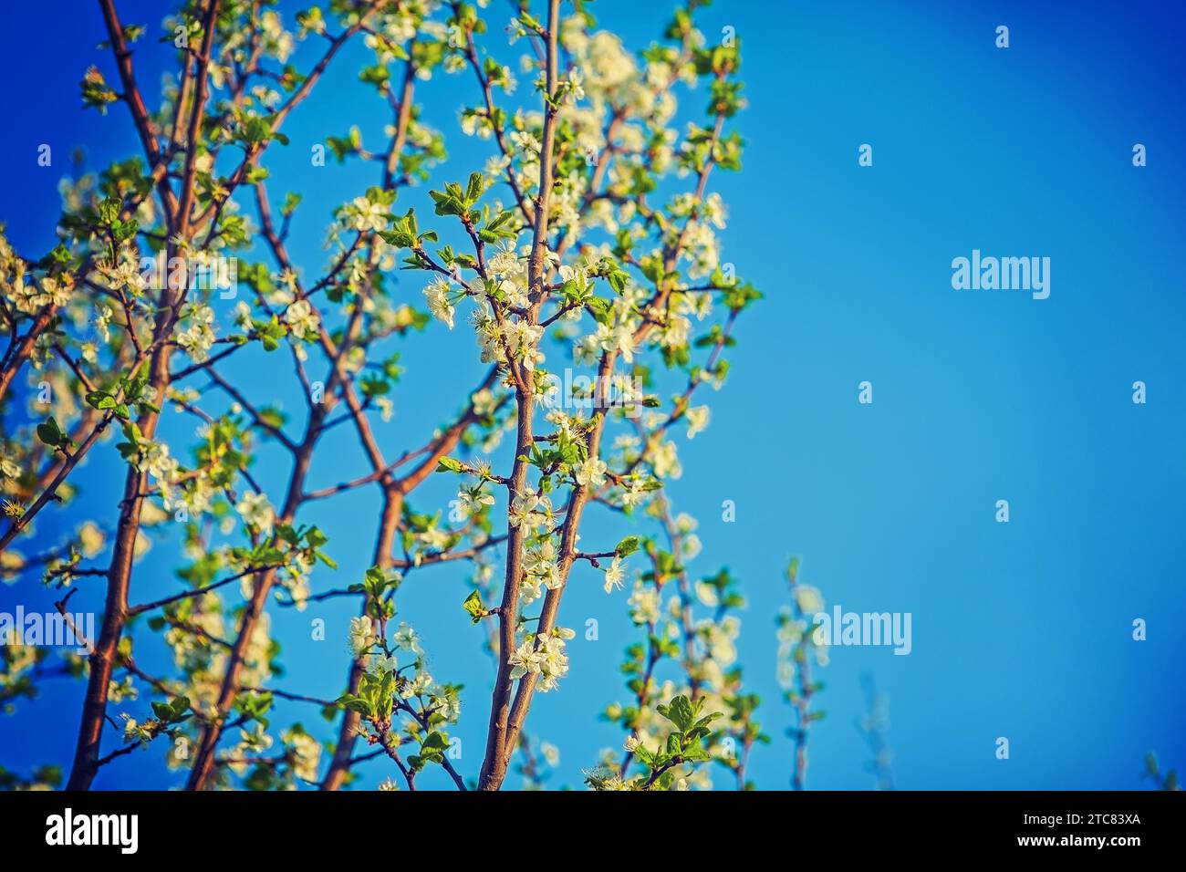 Instagram stile hi-res stock photography and images - Alamy