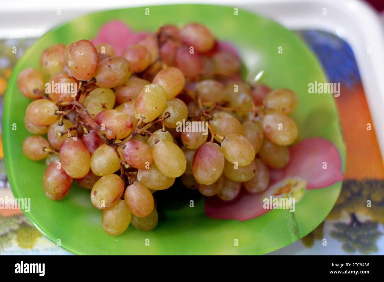 Fresh grapes, a fruit, botanically a berry of the deciduous woody vines ...
