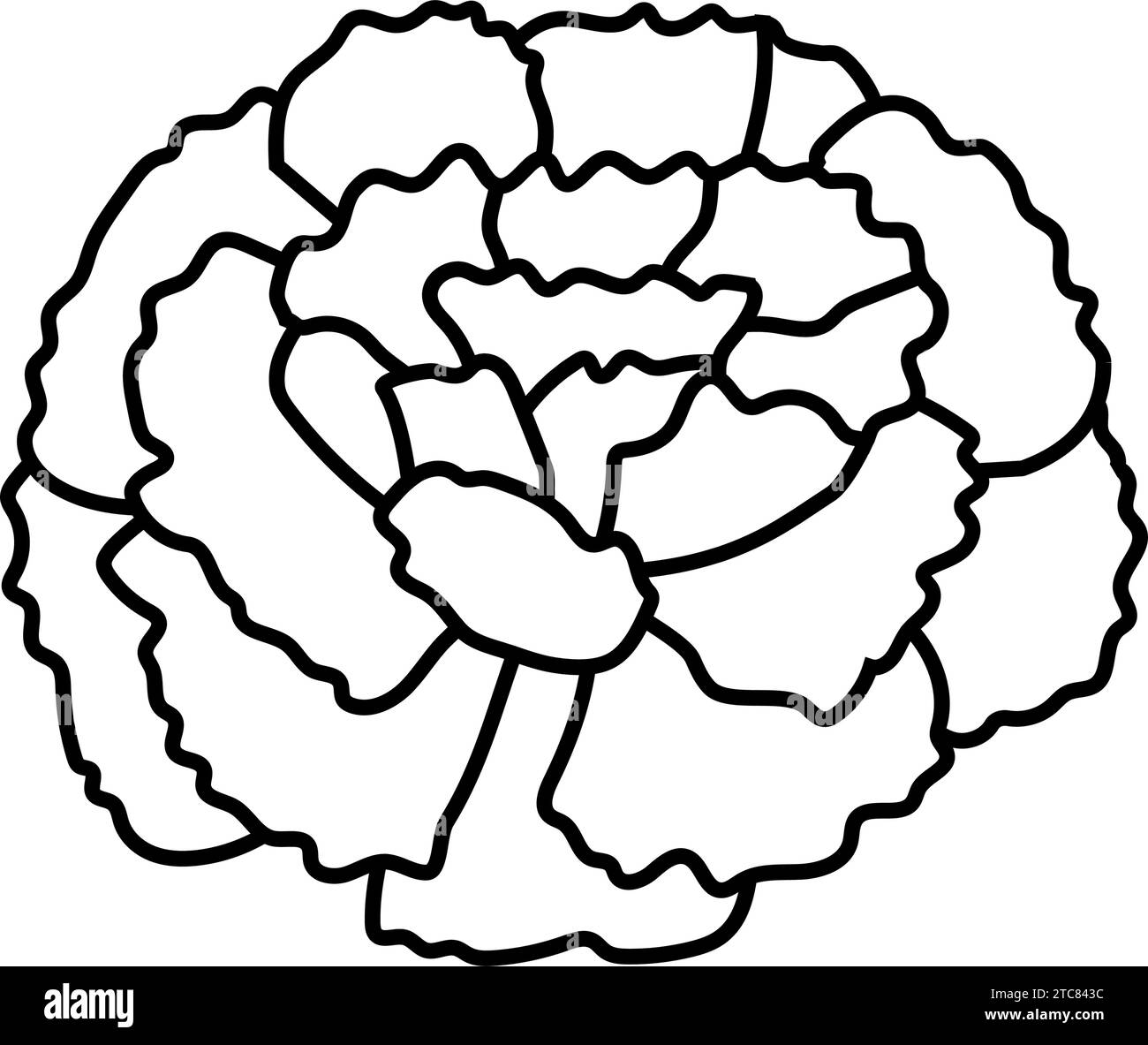 Marigold tattoo Cut Out Stock Images & Pictures - Alamy