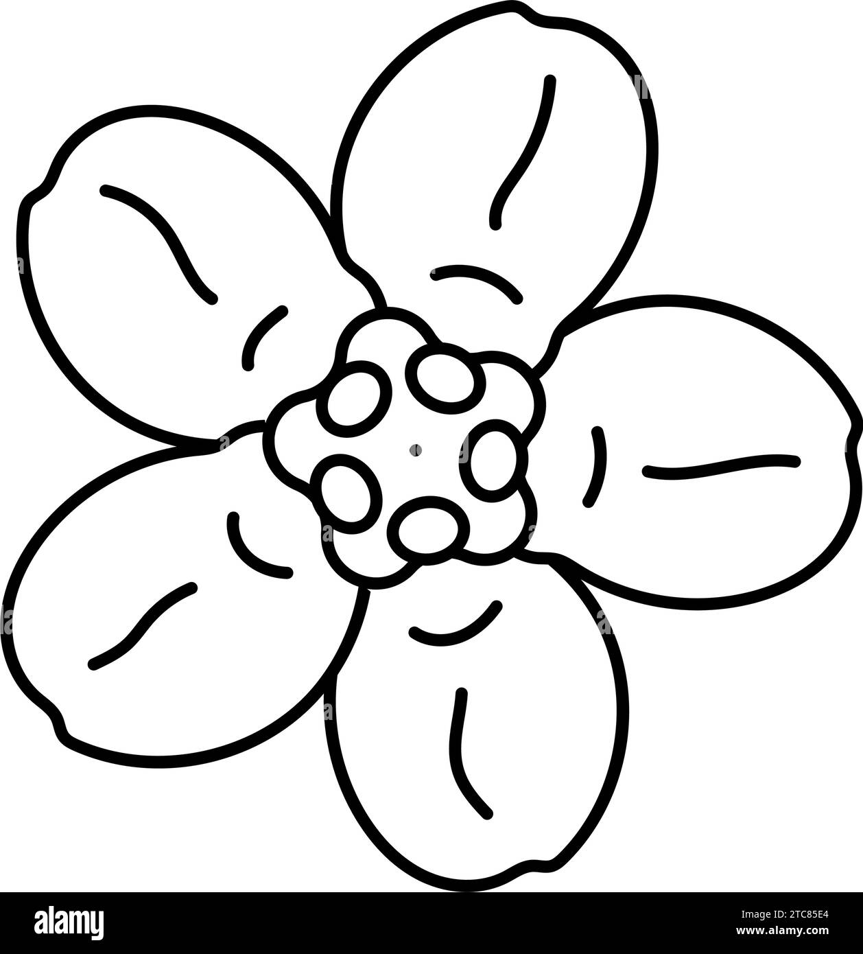forget me not flower spring line icon vector illustration Stock Vector ...