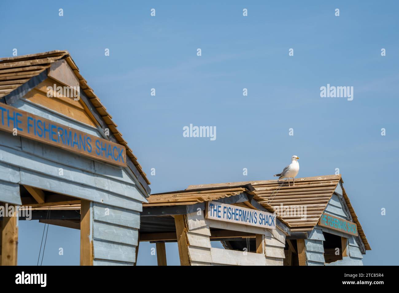 WHITBY, NORTH YORKSHIRE, UK, JULY 19: Seagull on a replica fishermans ...