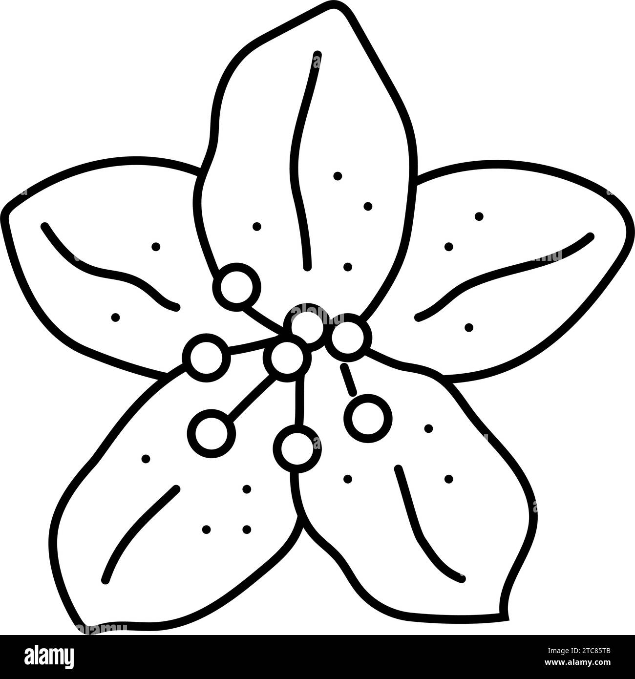 Pink rhododendron Stock Vector Images - Alamy