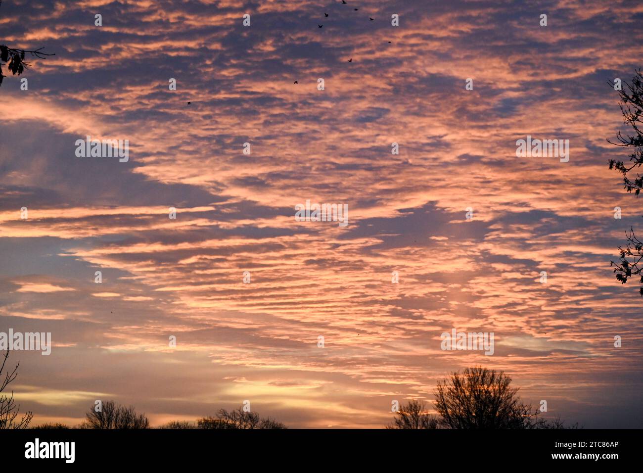 A dramatic skyline, cloudscape, vivid, dawn skyline, dusk skyline Stock ...