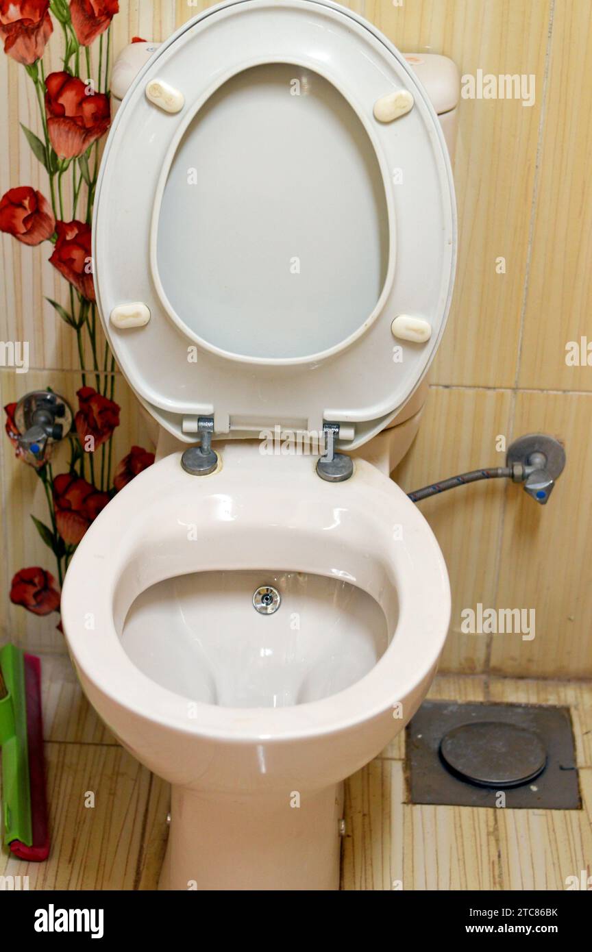 Toilet, a piece of sanitary hardware that collects human urine and ...