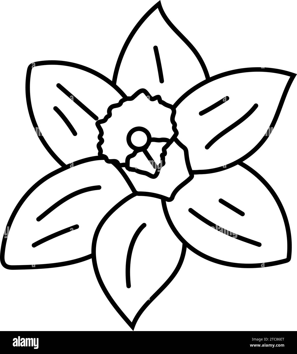 daffodil flower spring line icon vector illustration Stock Vector Image ...