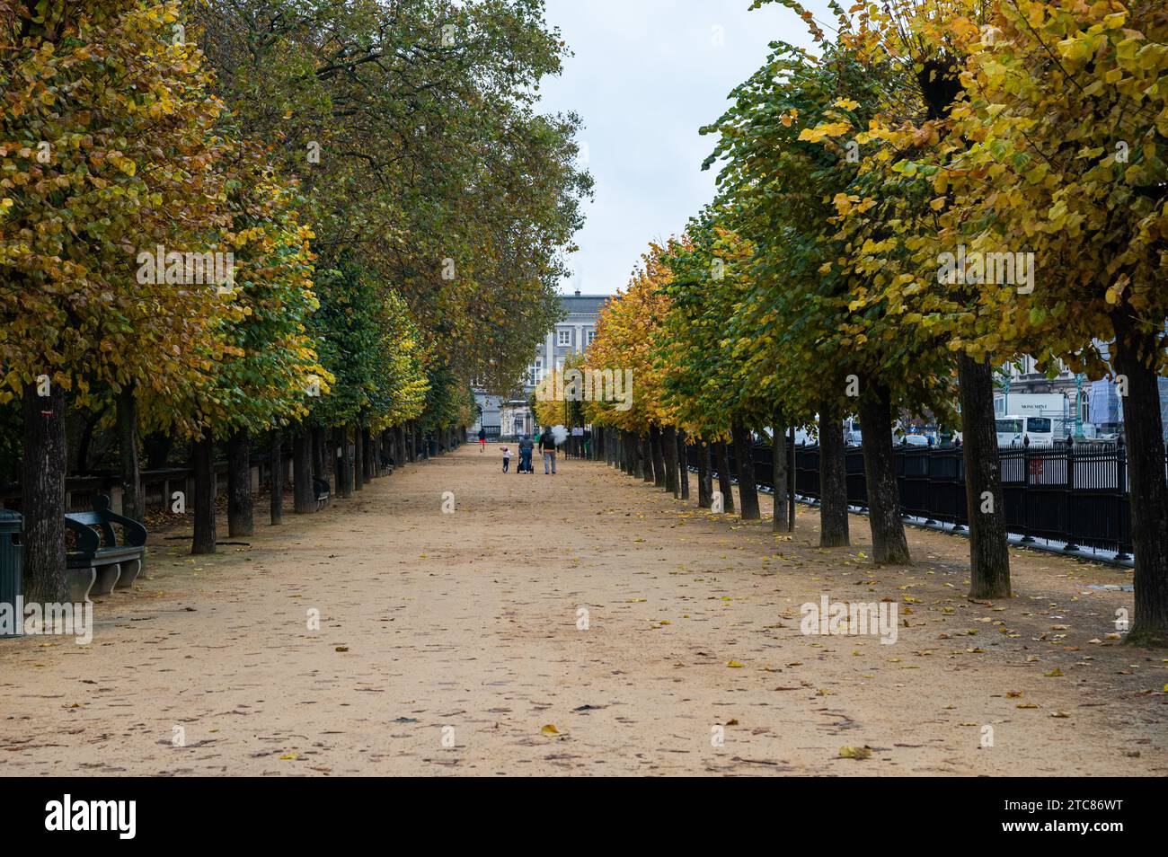 Brussels old town, Belgium, November 16, 2023 - People walking at the ...