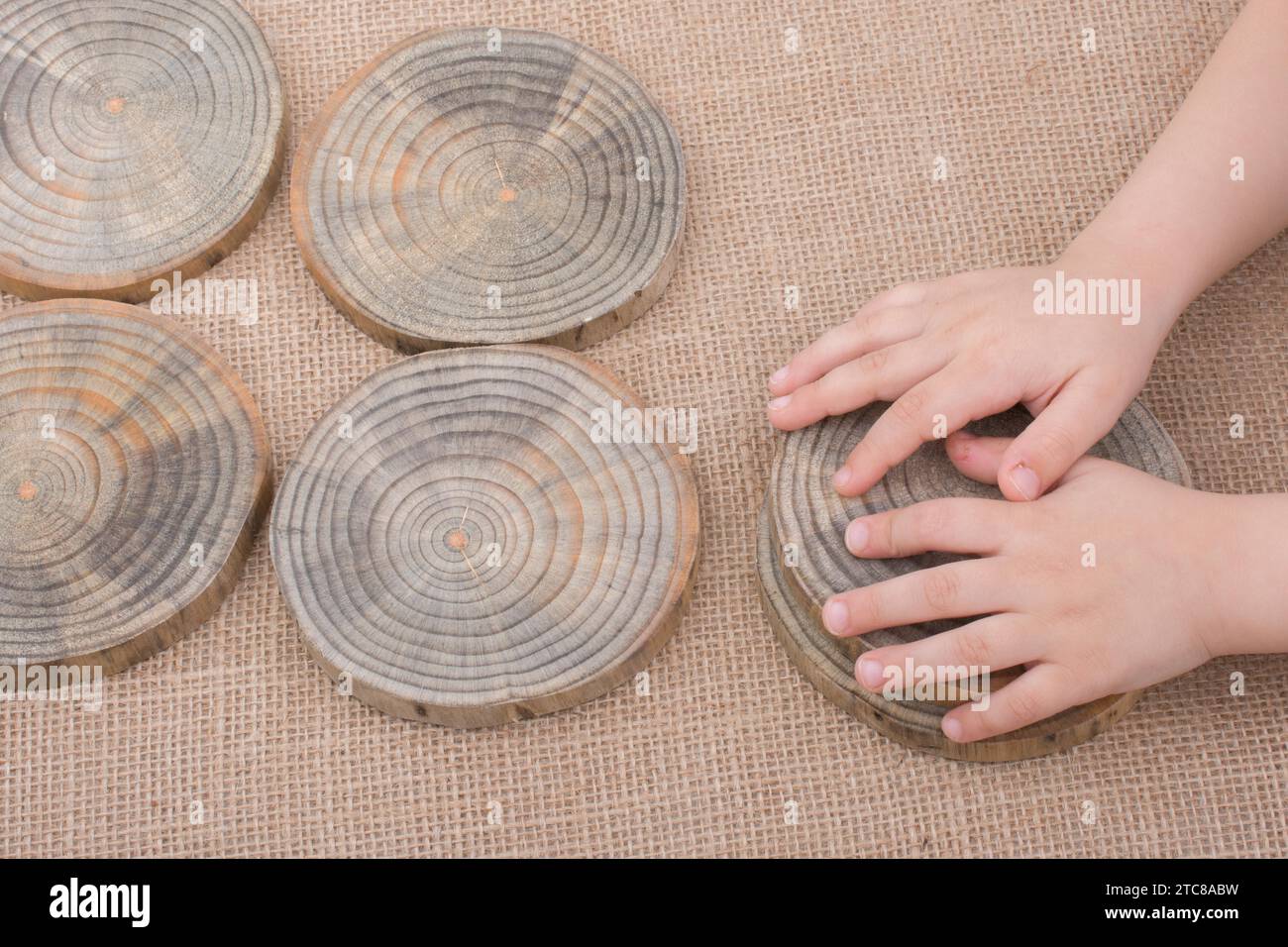 Wood Log cut in round thin pieces in hand Stock Photo - Alamy