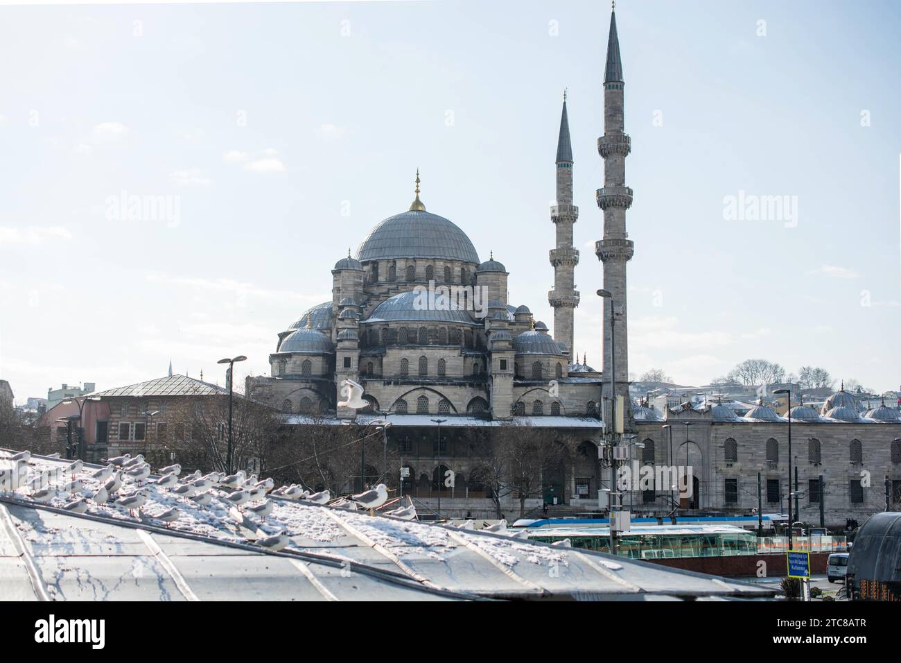 Mosque domes of Istanbul from the Ottoman times Stock Photo - Alamy