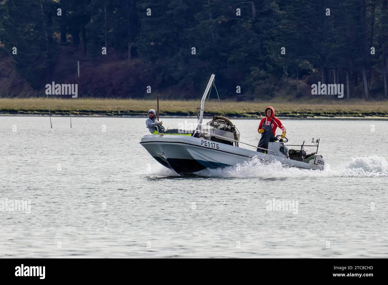 Arne, Dorset, UK, September 20 : View of a boat passing Arne in Dorset ...